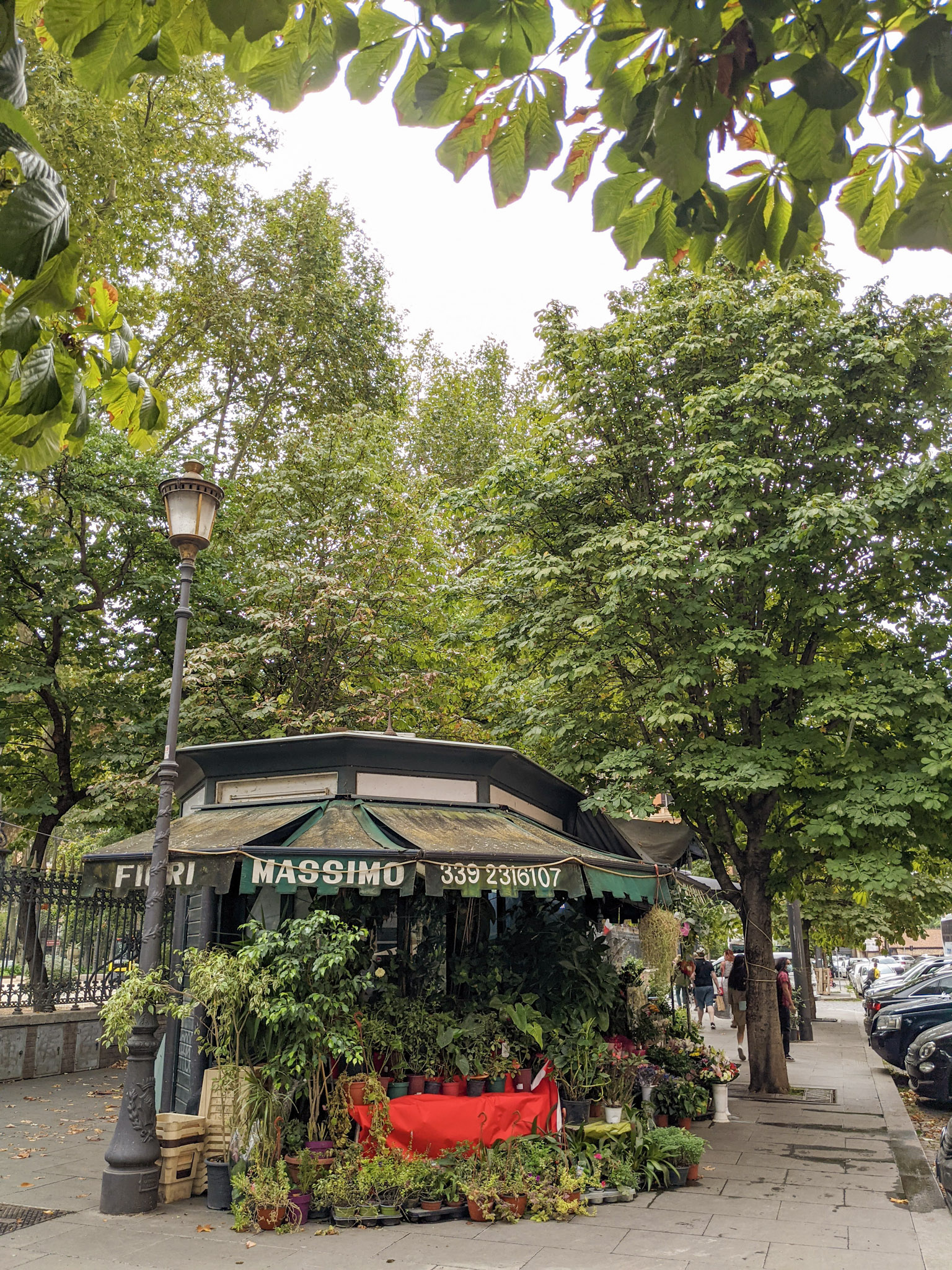 Best Places To Eat Cheap In Rome By Neighborhood