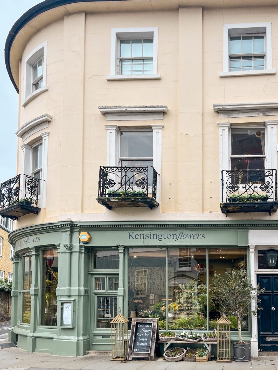 The Ultimate London Bucket List For First-Time Visitors