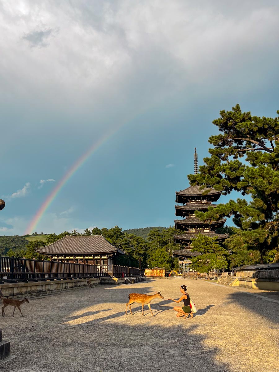 Nara Park Day Trip Guide: What To Do, See, And Eat - Ilse On The Go