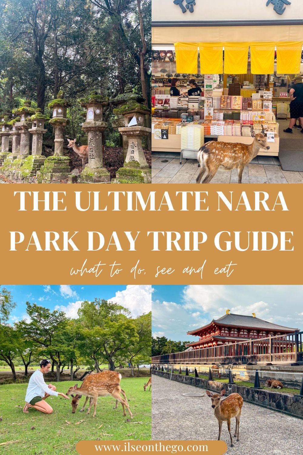 Nara Park Day Trip Guide: What To Do, See, And Eat - Ilse On The Go