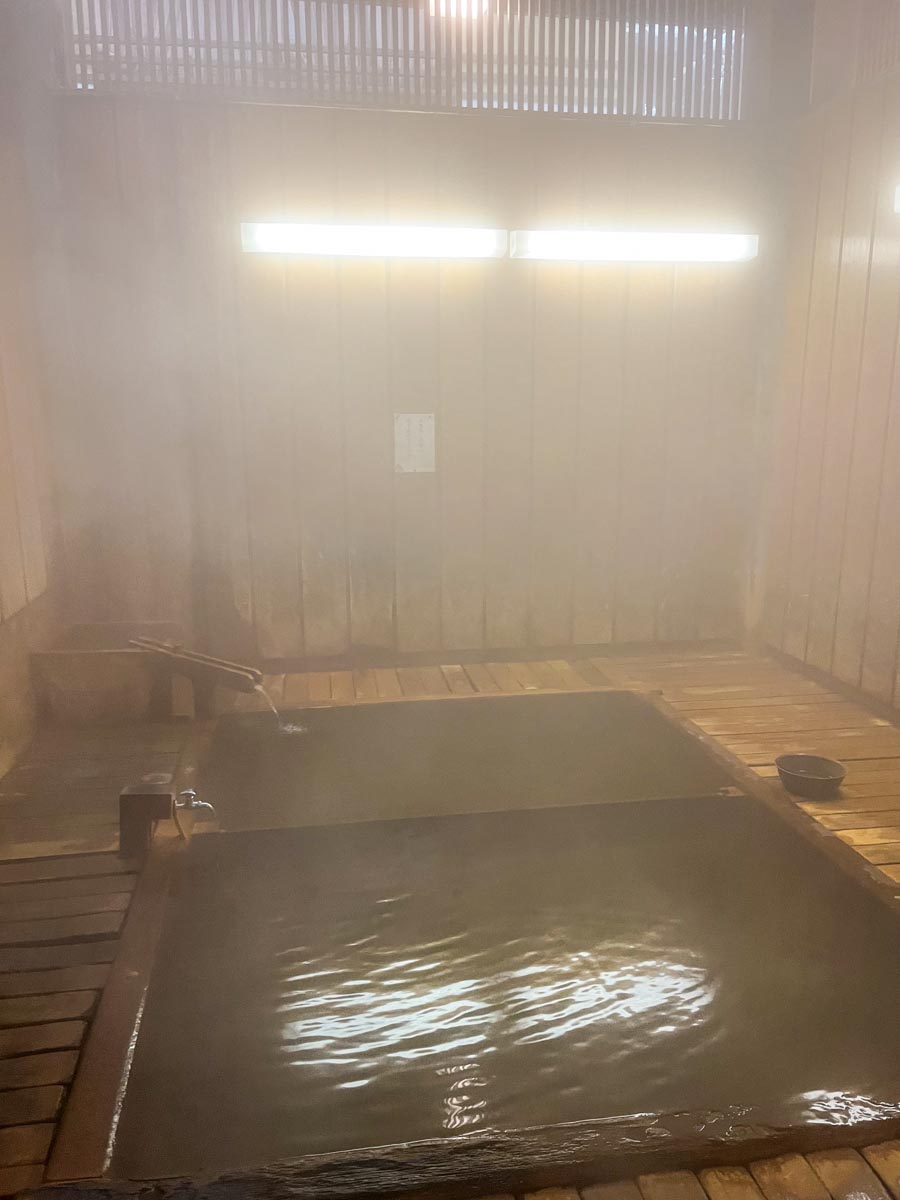 Tokyo To Shibu Onsen, Nagano: A Complete Guide - Ilse On The Go