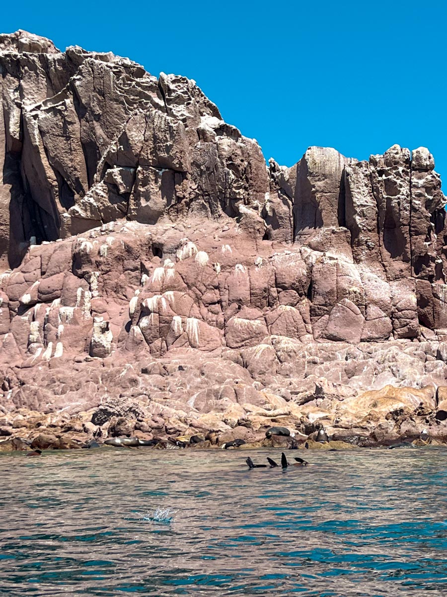 Best Things To Do In La Paz: Mexico's Hidden Paradise - Ilse On The Go